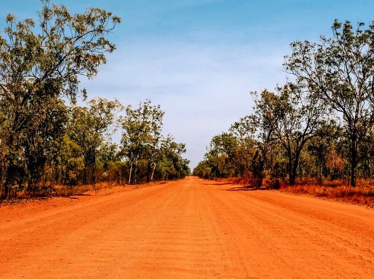 The Ultimate Guide to Road Trips: Freedom, Adventure, and Lasting Memories